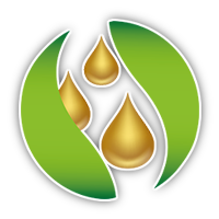 Corporation Culture - Oasis Energy Group Ltd.